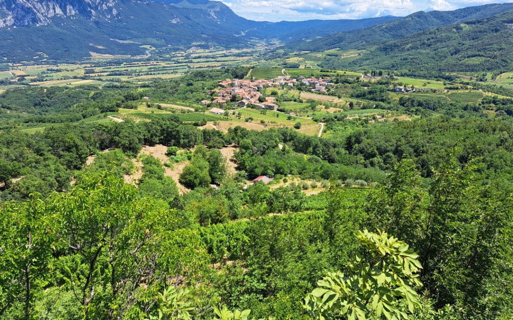 Učenje na prostem iz teorije v prakso tudi na institucionalni ravni - E ...